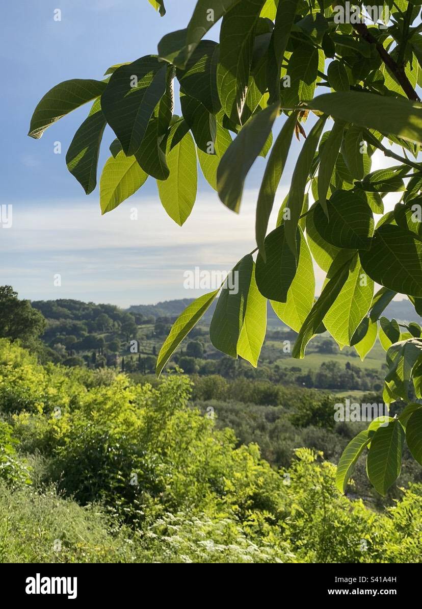 Scorcio hi-res stock photography and images - Alamy