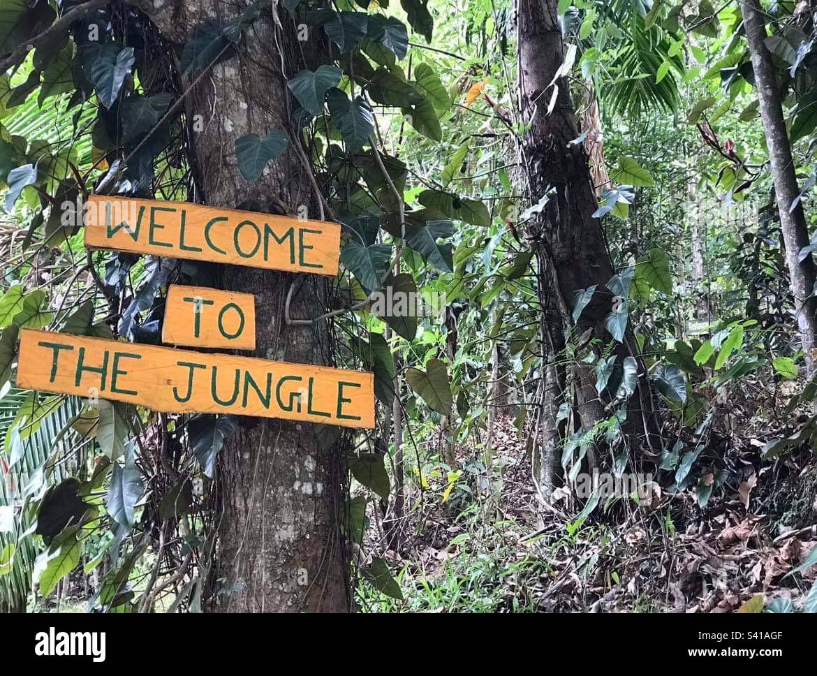 Welcome to the jungle sign hi-res stock photography and images - Alamy