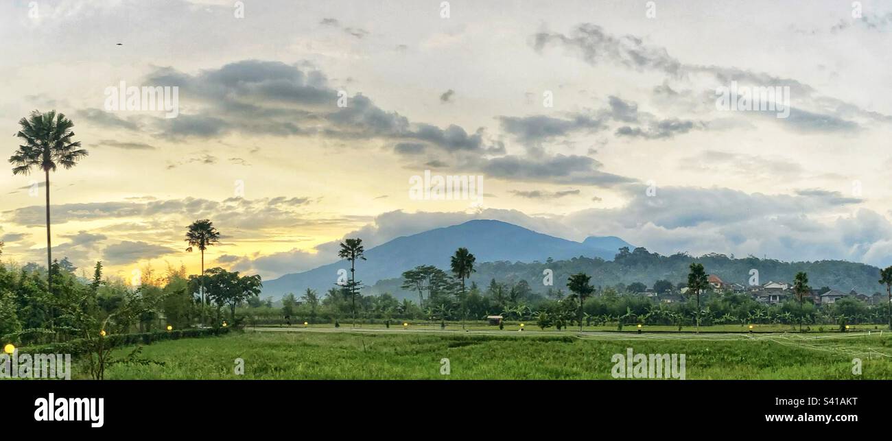 View over rice fields to Mount Ungaran in Central Java Indonesia Stock ...