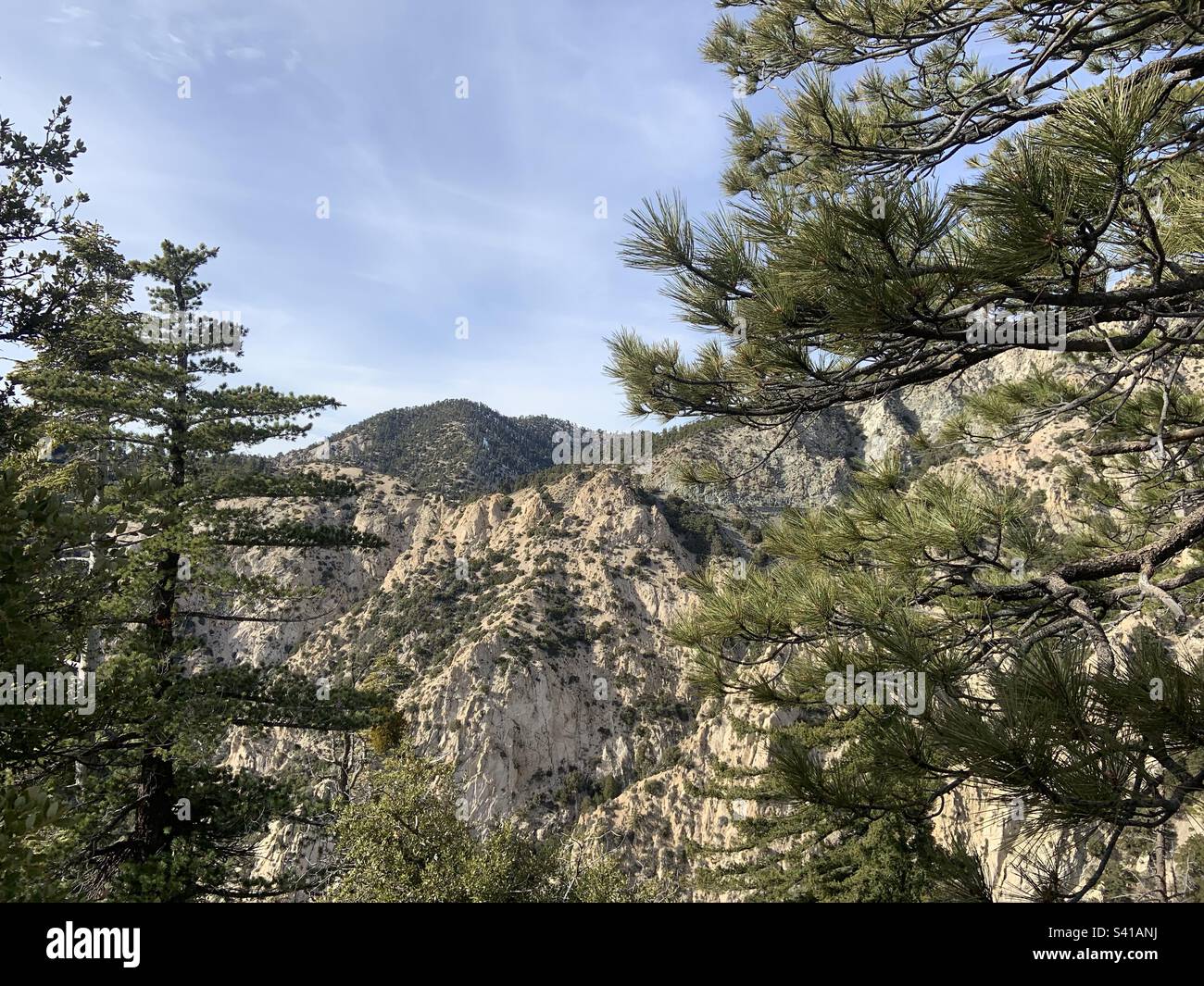 Los angeles national forest hi-res stock photography and images - Alamy