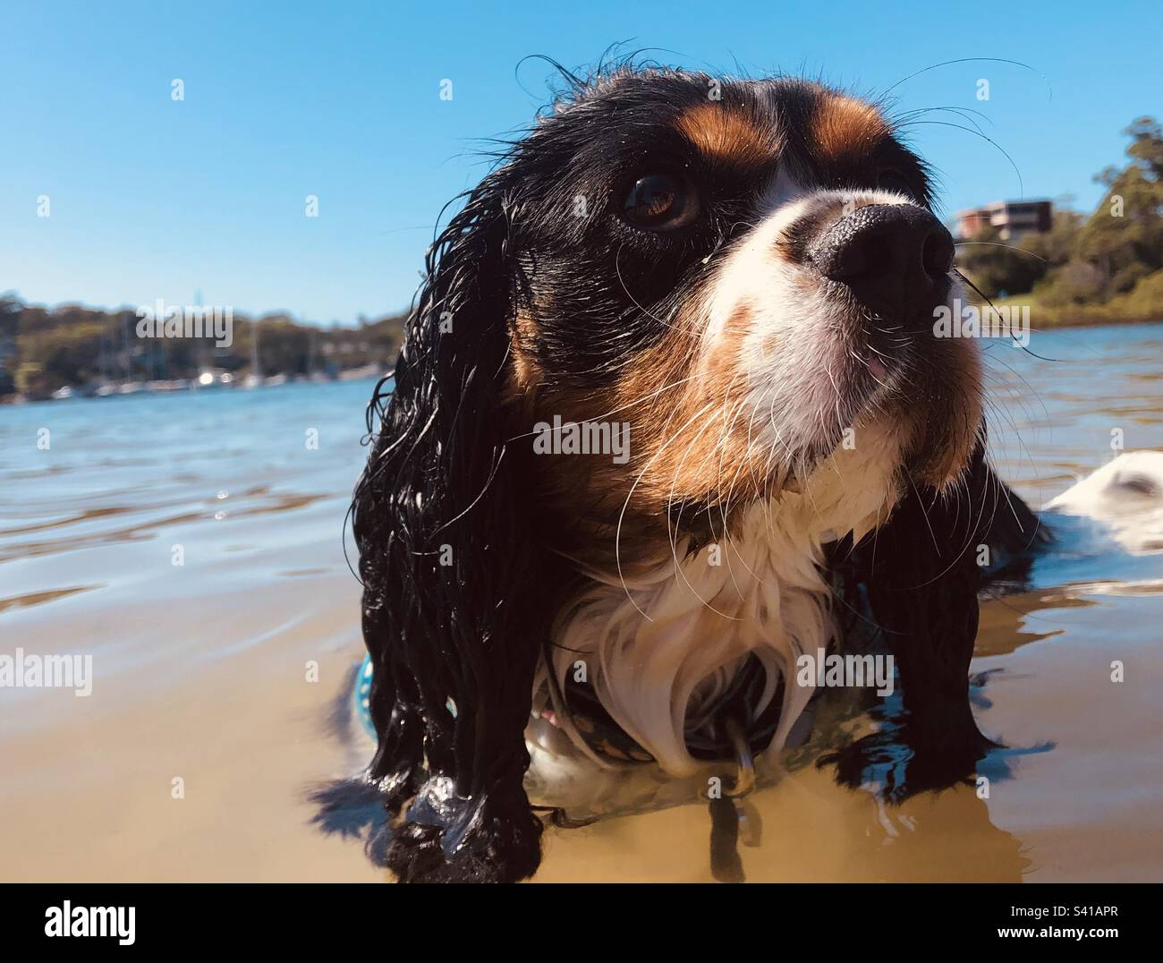 Summertime cooling hi-res stock photography and images - Alamy