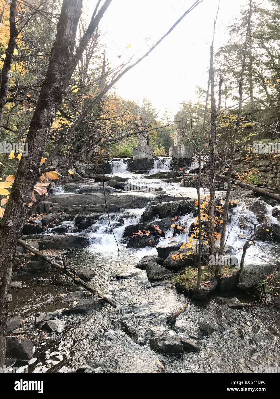 Autumn waterfall scene in the park Stock Photo - Alamy