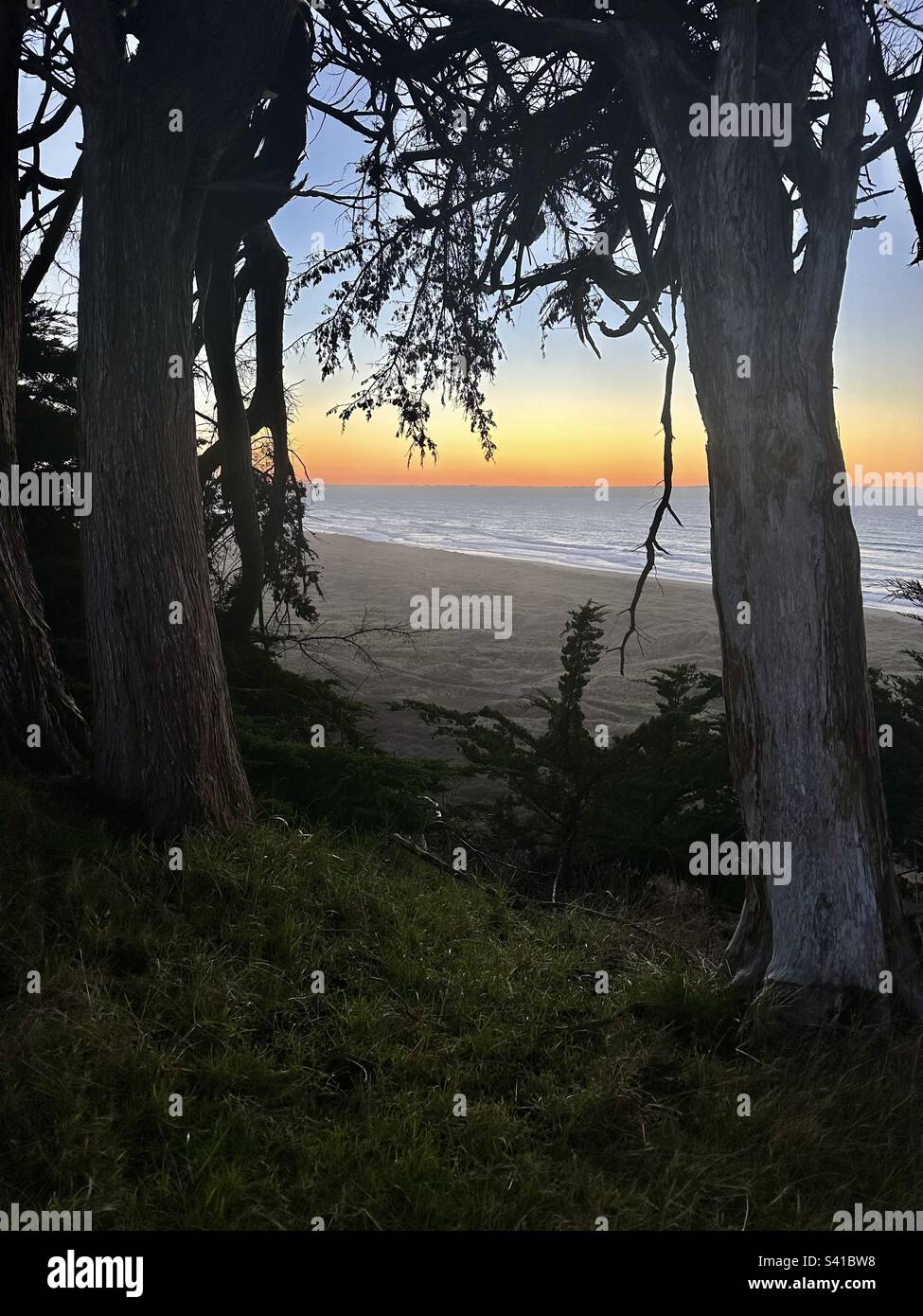 Pacific bluff hi-res stock photography and images - Alamy