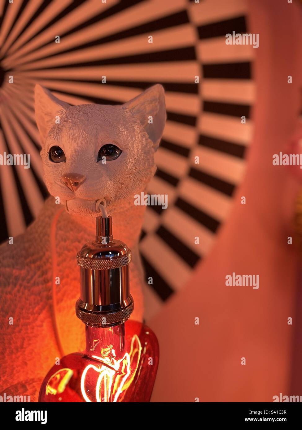 Heart of cats hi-res stock photography and images - Alamy