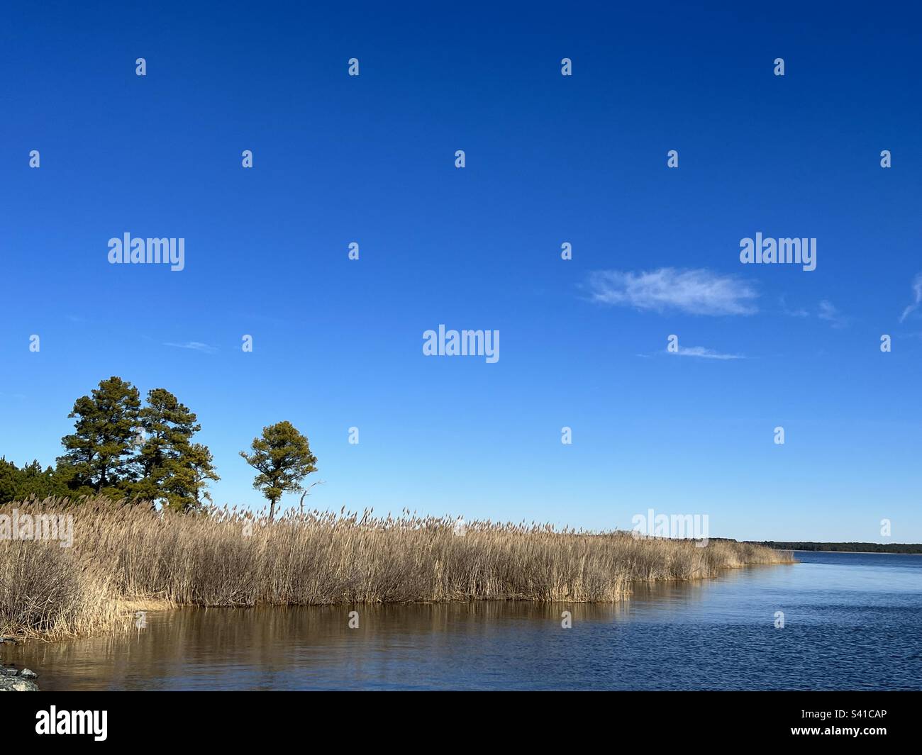 Eastern shore hi-res stock photography and images - Alamy