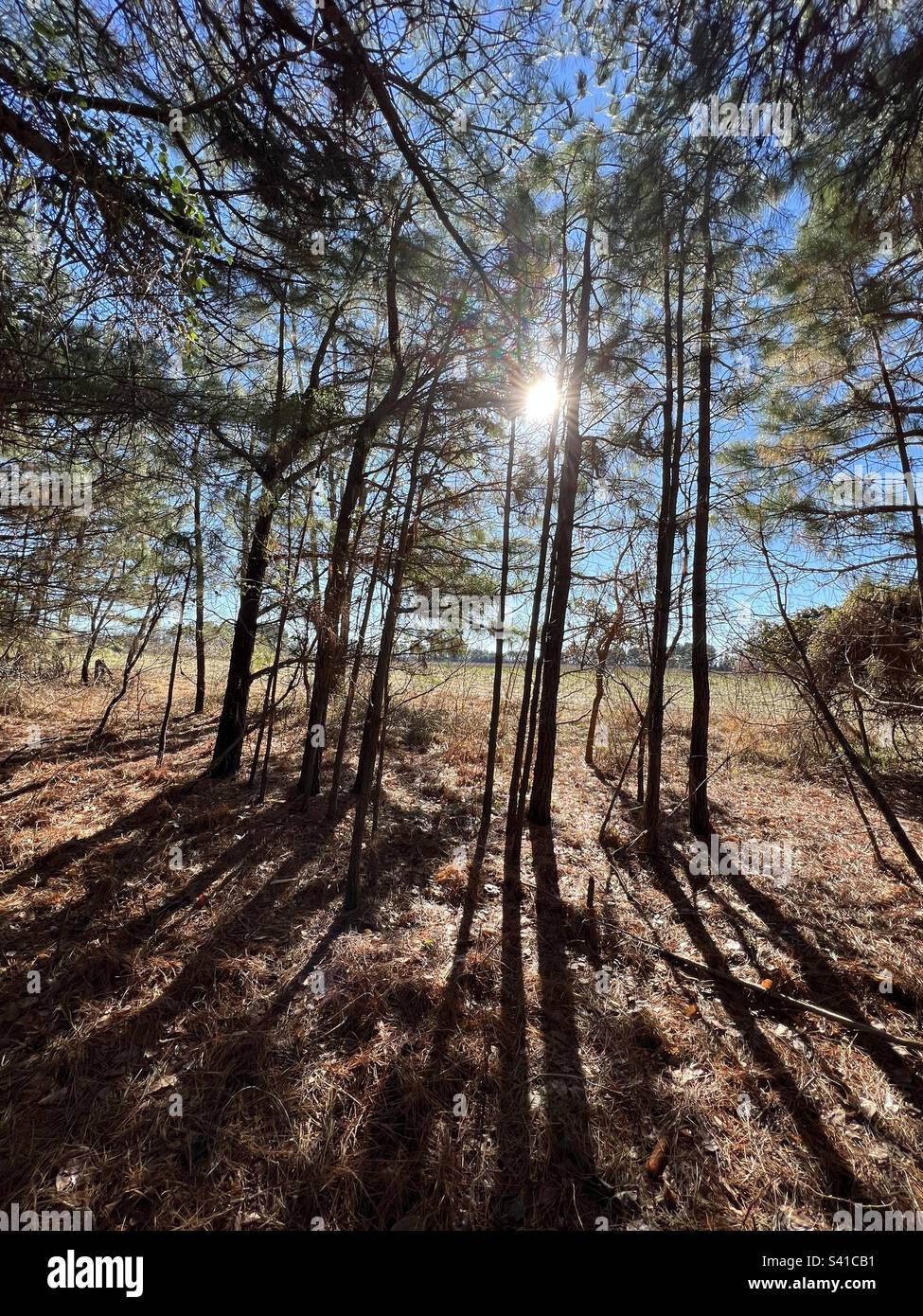 Wye island maryland hi-res stock photography and images - Alamy