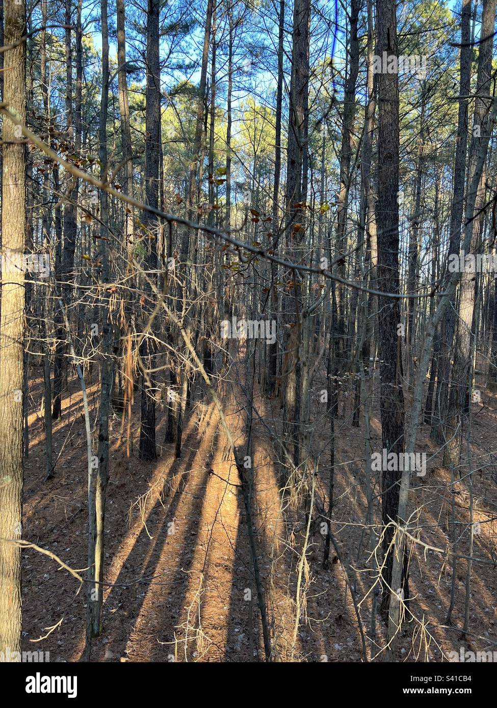 Wye island maryland hi-res stock photography and images - Alamy