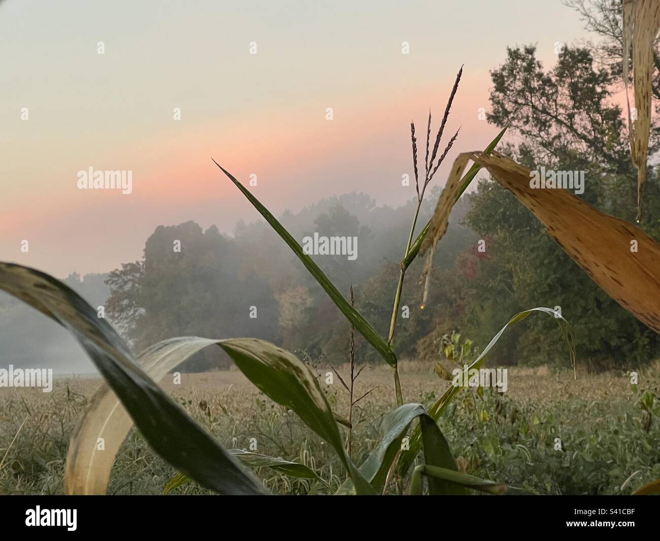 Fog lifting sunrise hi-res stock photography and images - Alamy