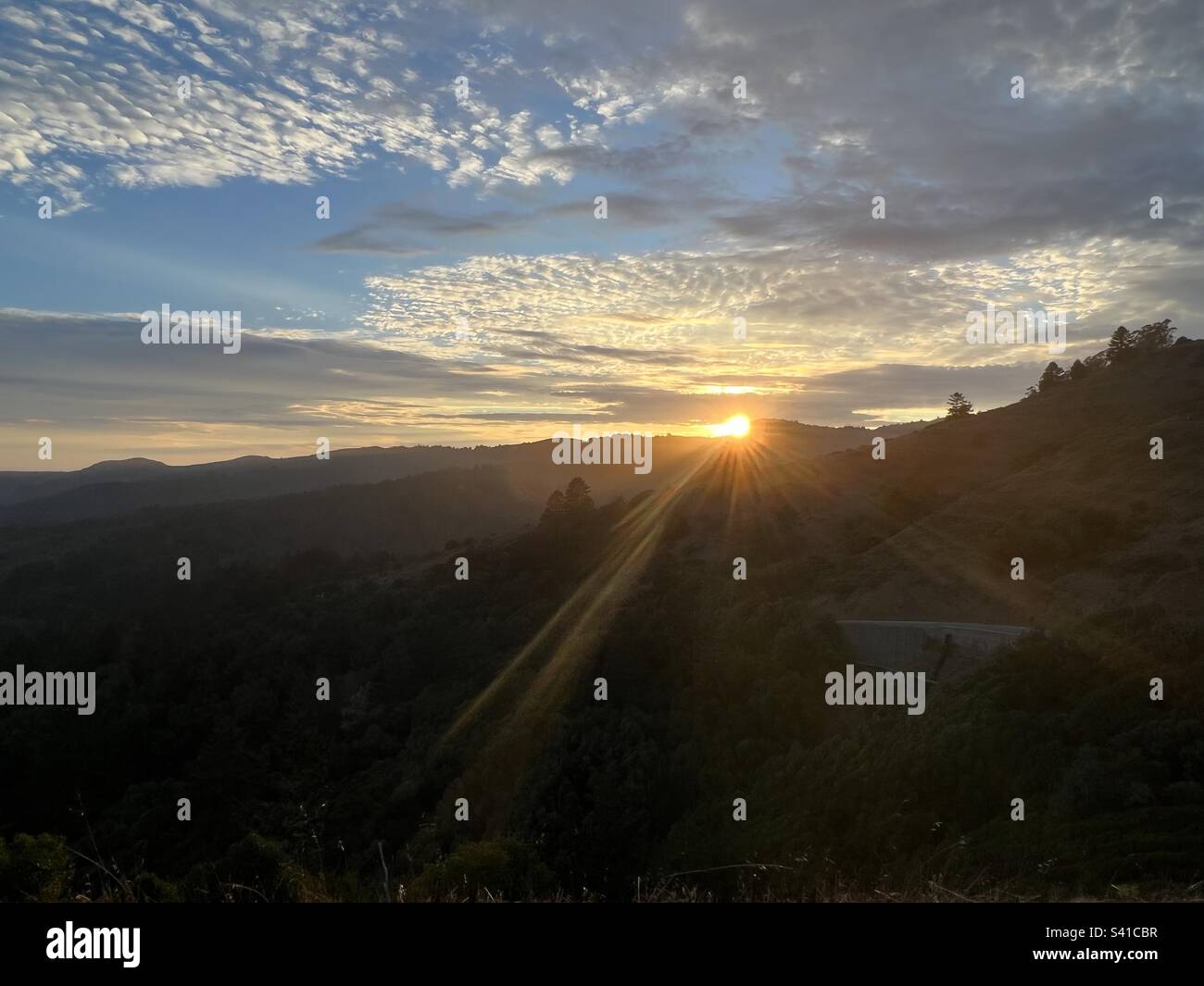 Cali forest hi-res stock photography and images - Alamy