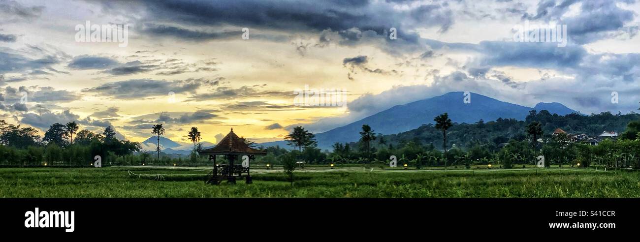 Panoramic view over rice fields of Mt Ungaran and Mt Merapi Volcanos in ...