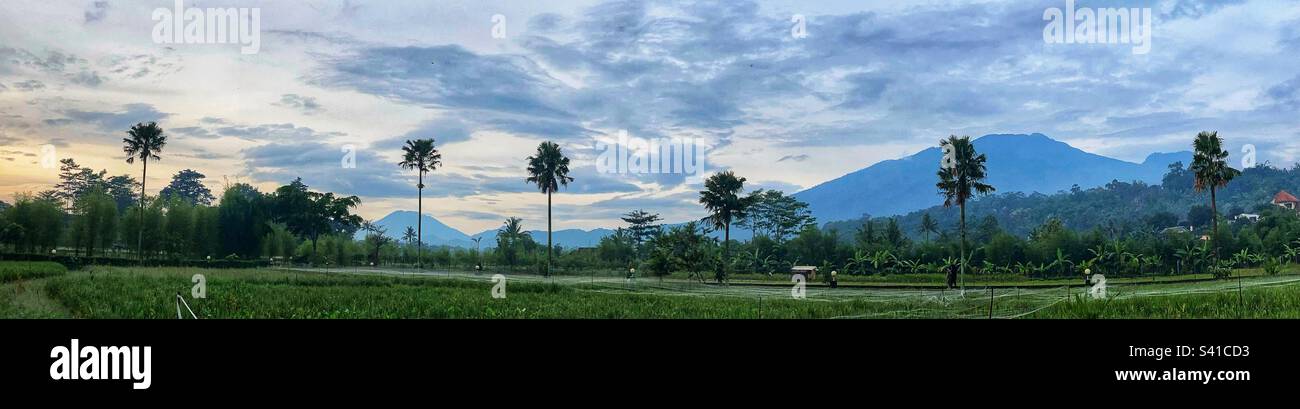 Panoramic view over rice fields of Mt Ungaran and Mt Merapi Volcanos in ...