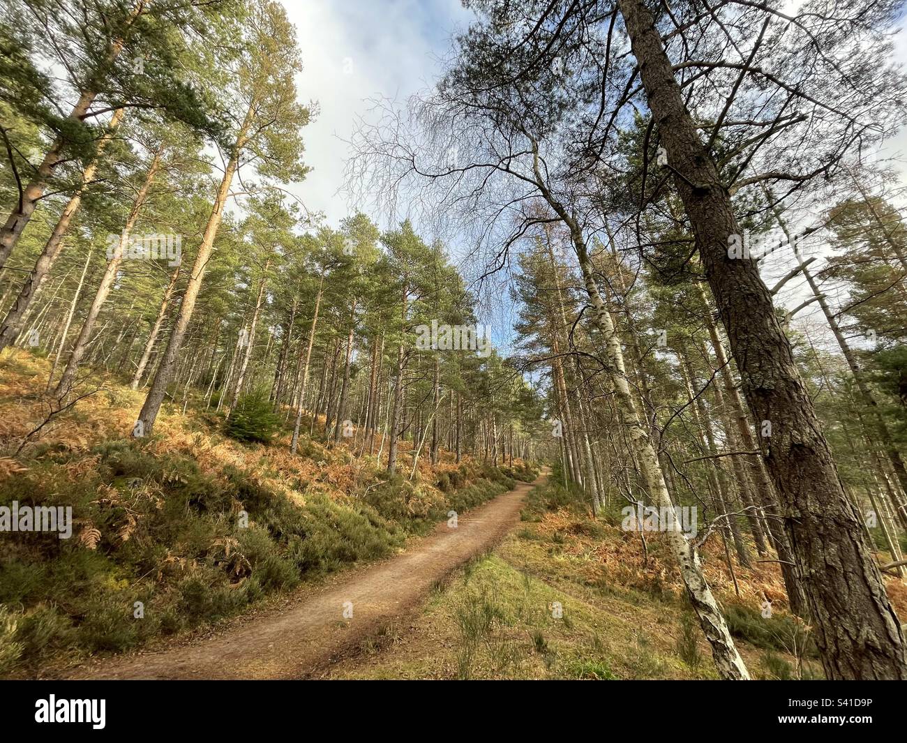 Scotland trail walk hi-res stock photography and images - Alamy