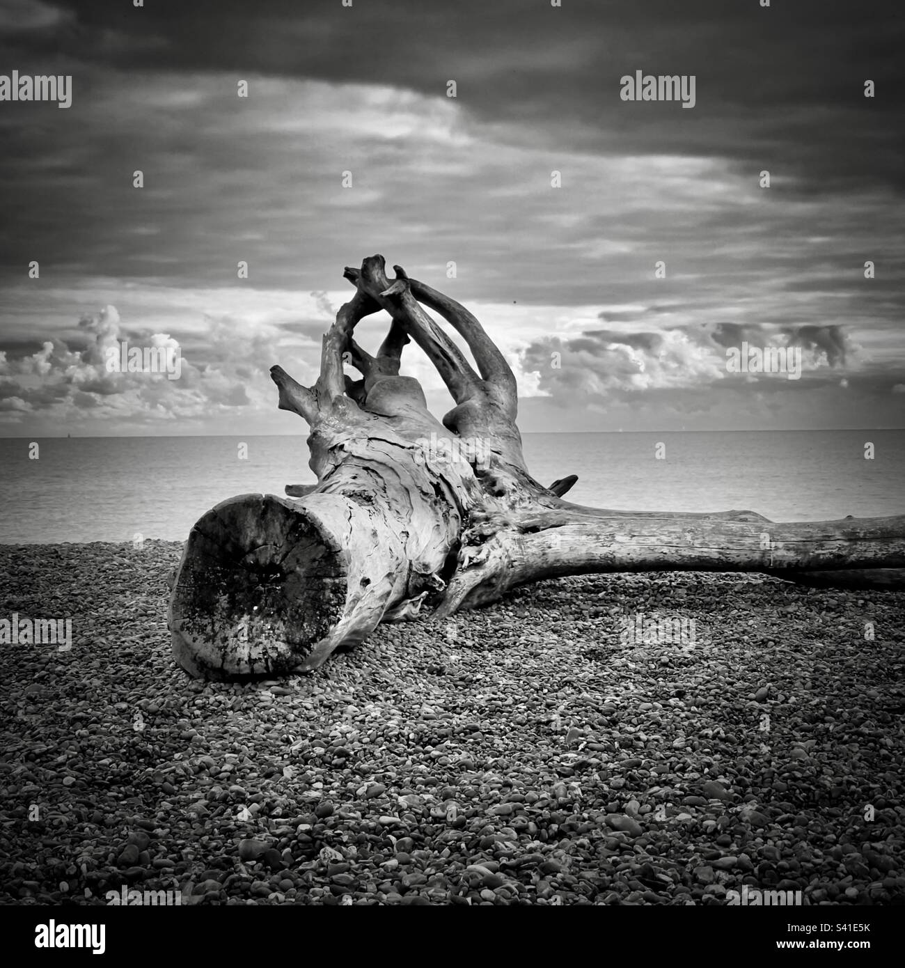 South coast seaside hi-res stock photography and images - Alamy