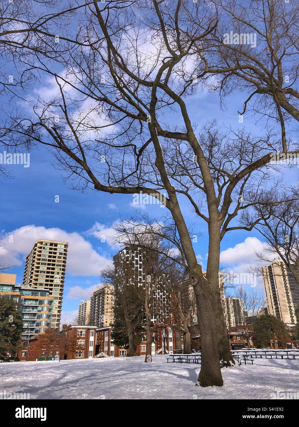 Winter in High Park, Toronto Stock Photo - Alamy