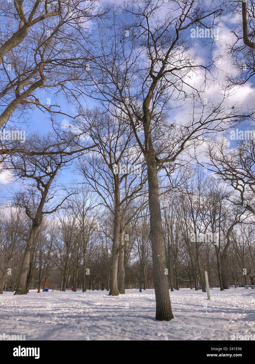 Winter in High Park, Toronto Stock Photo - Alamy