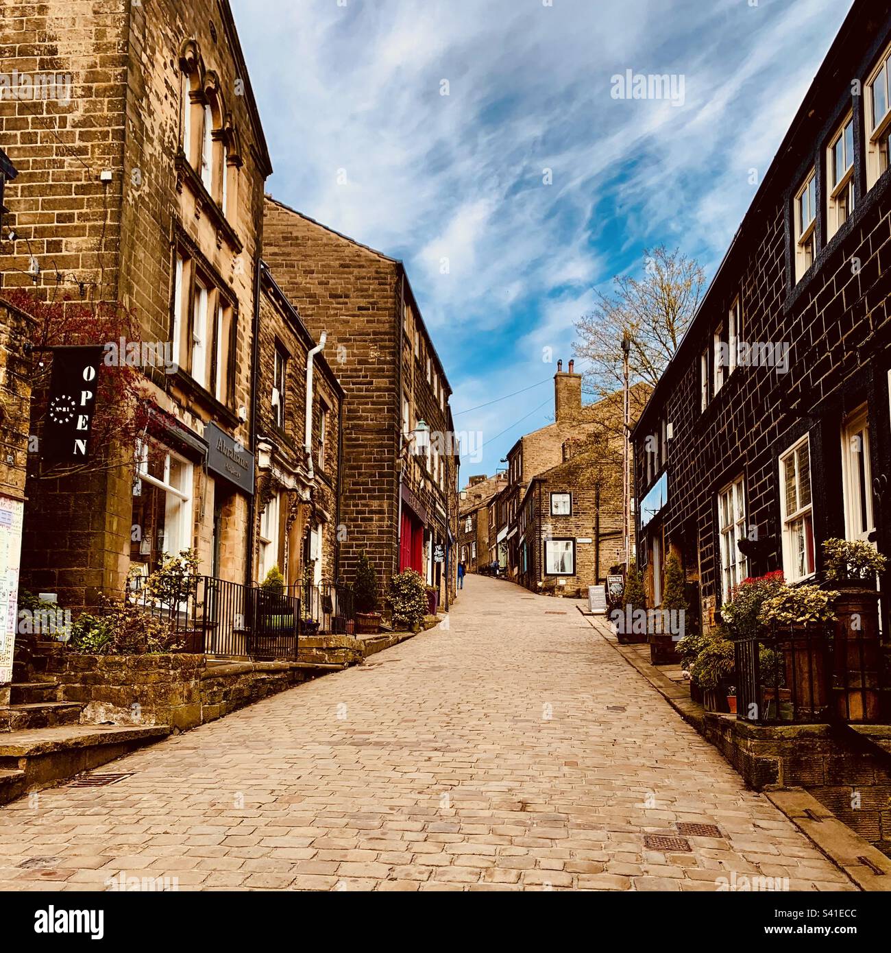 Violet Street Haworth at Theresa Chapa blog