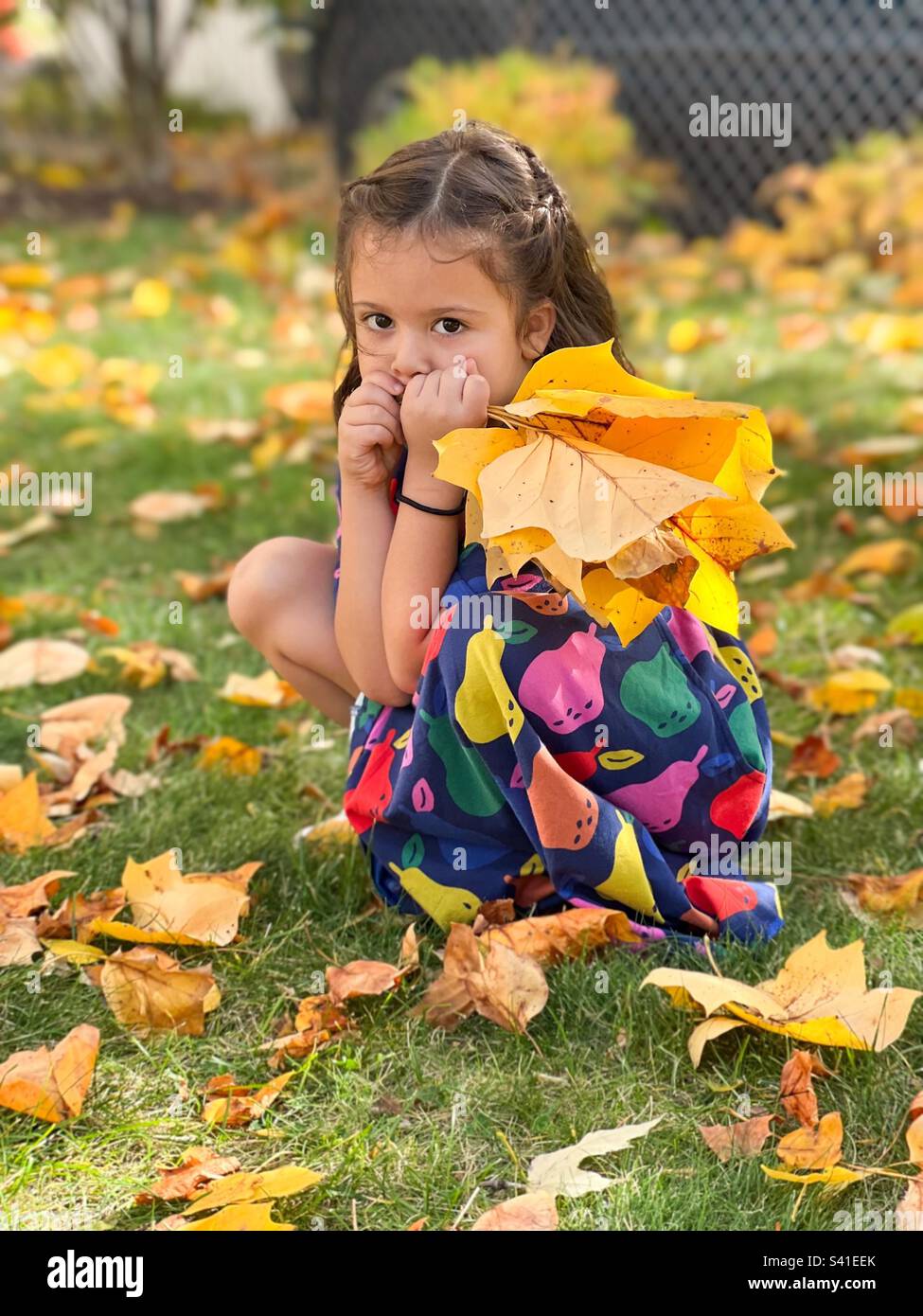 Pick up leaves hi-res stock photography and images - Alamy