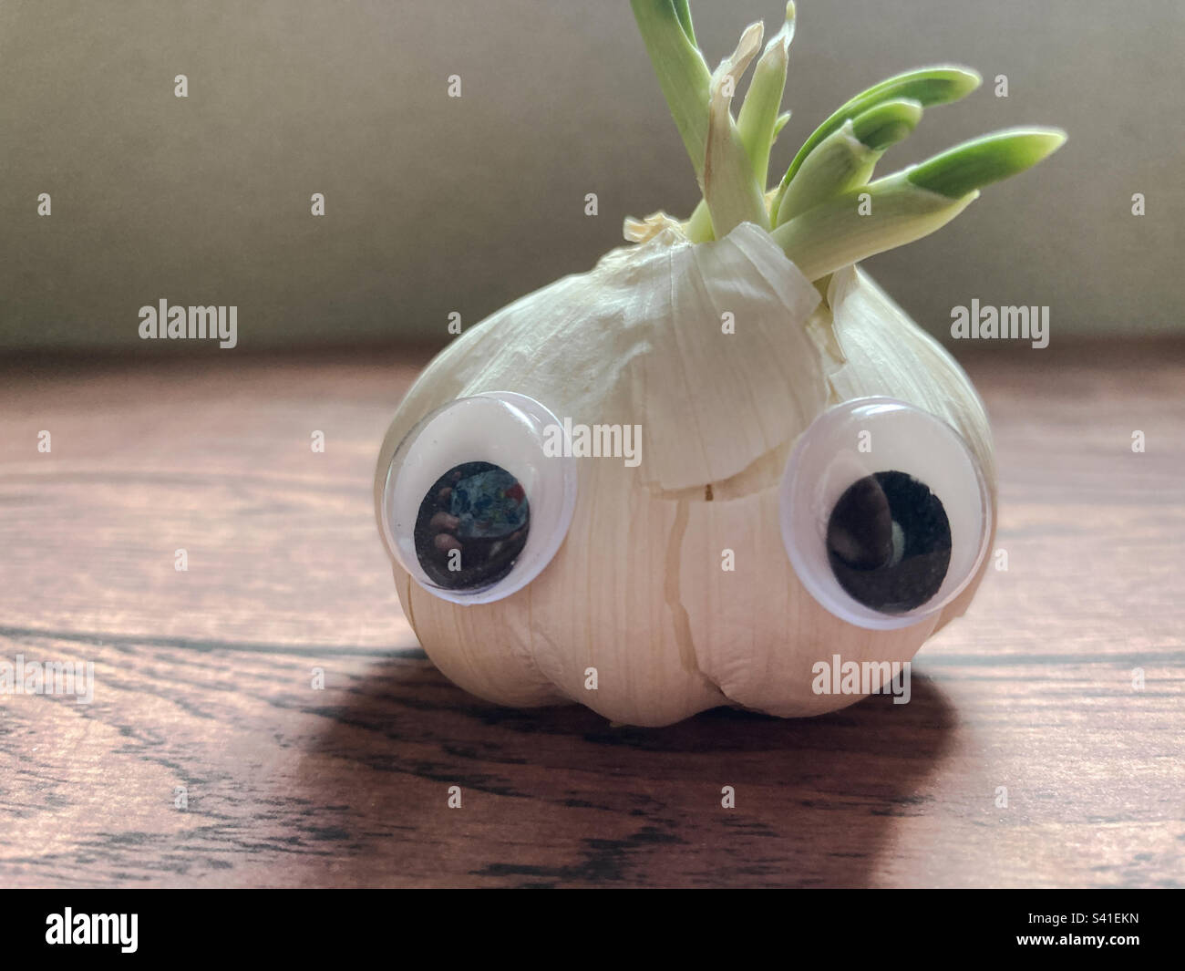 Sprouting garlic hi-res stock photography and images - Alamy