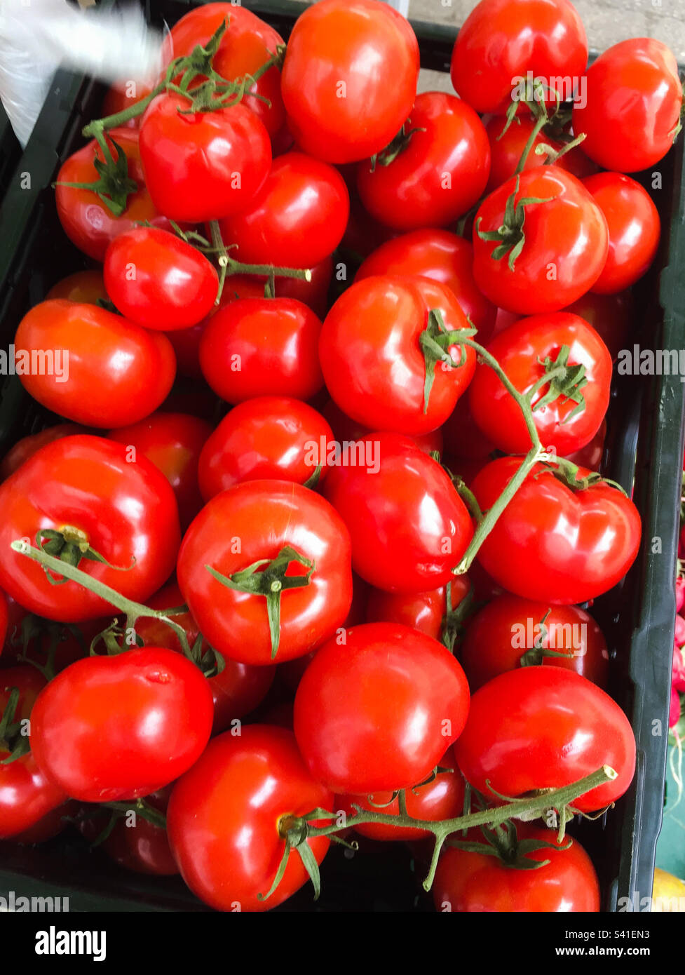 Red tomatoes farmers market hi-res stock photography and images - Alamy
