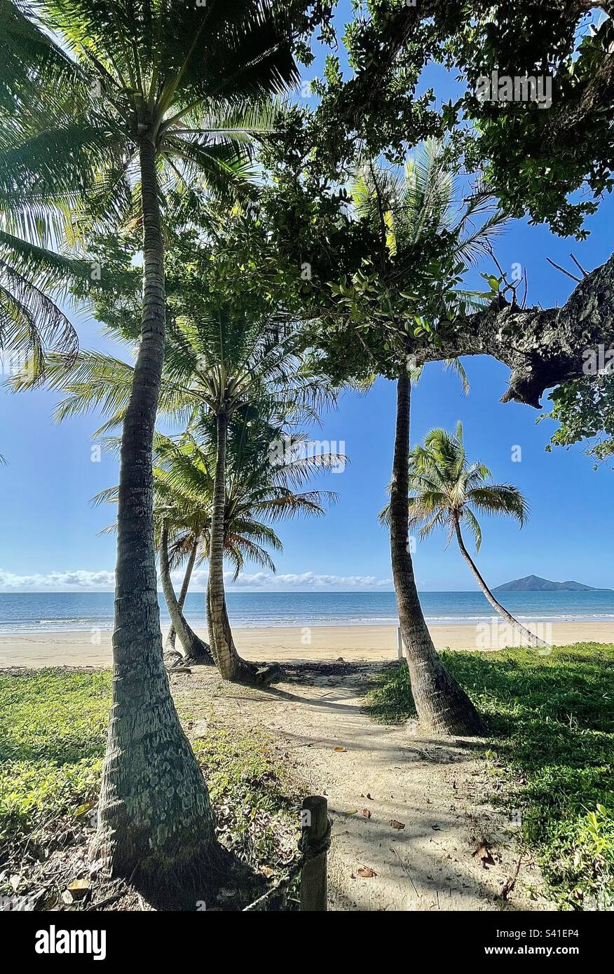Tropical beach path palm trees hi-res stock photography and images - Alamy