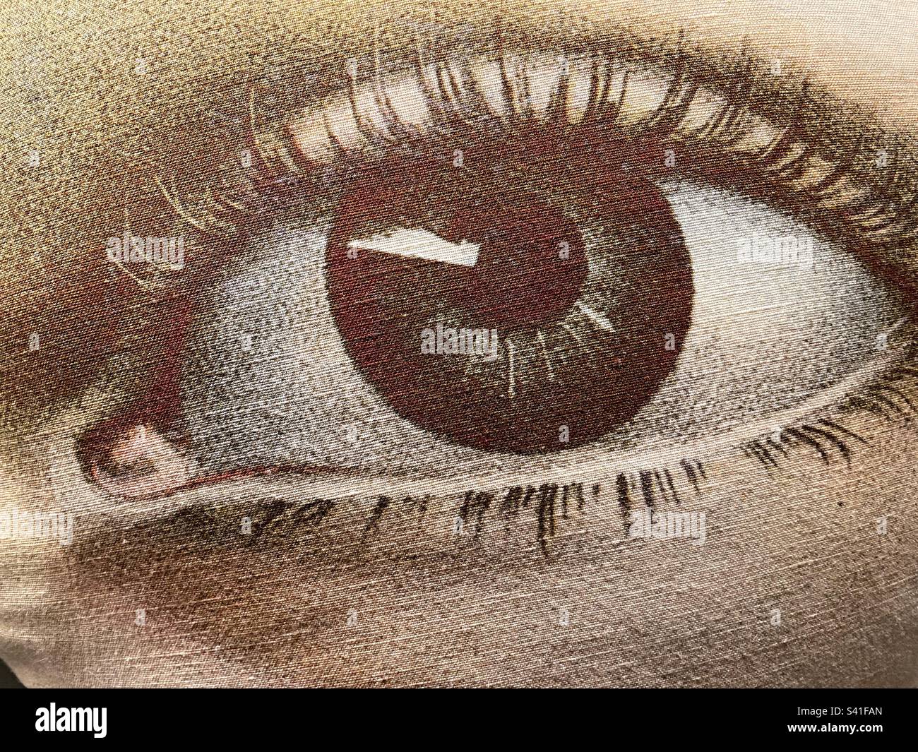 Fabric artwork of a human eye for sale in a gift shop, 2023, USA Stock ...