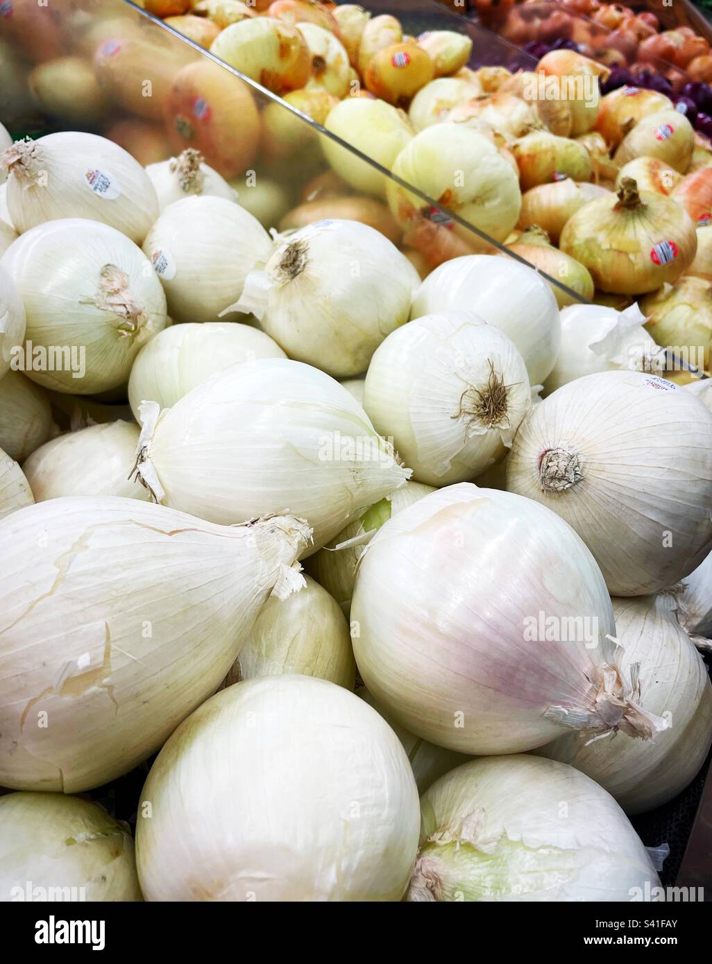 Produce aisle close up of various types of onions in a supermarket ...