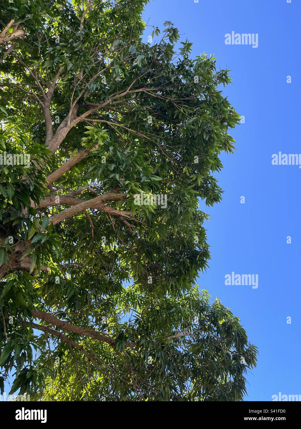 Sunny sunday hi-res stock photography and images - Alamy
