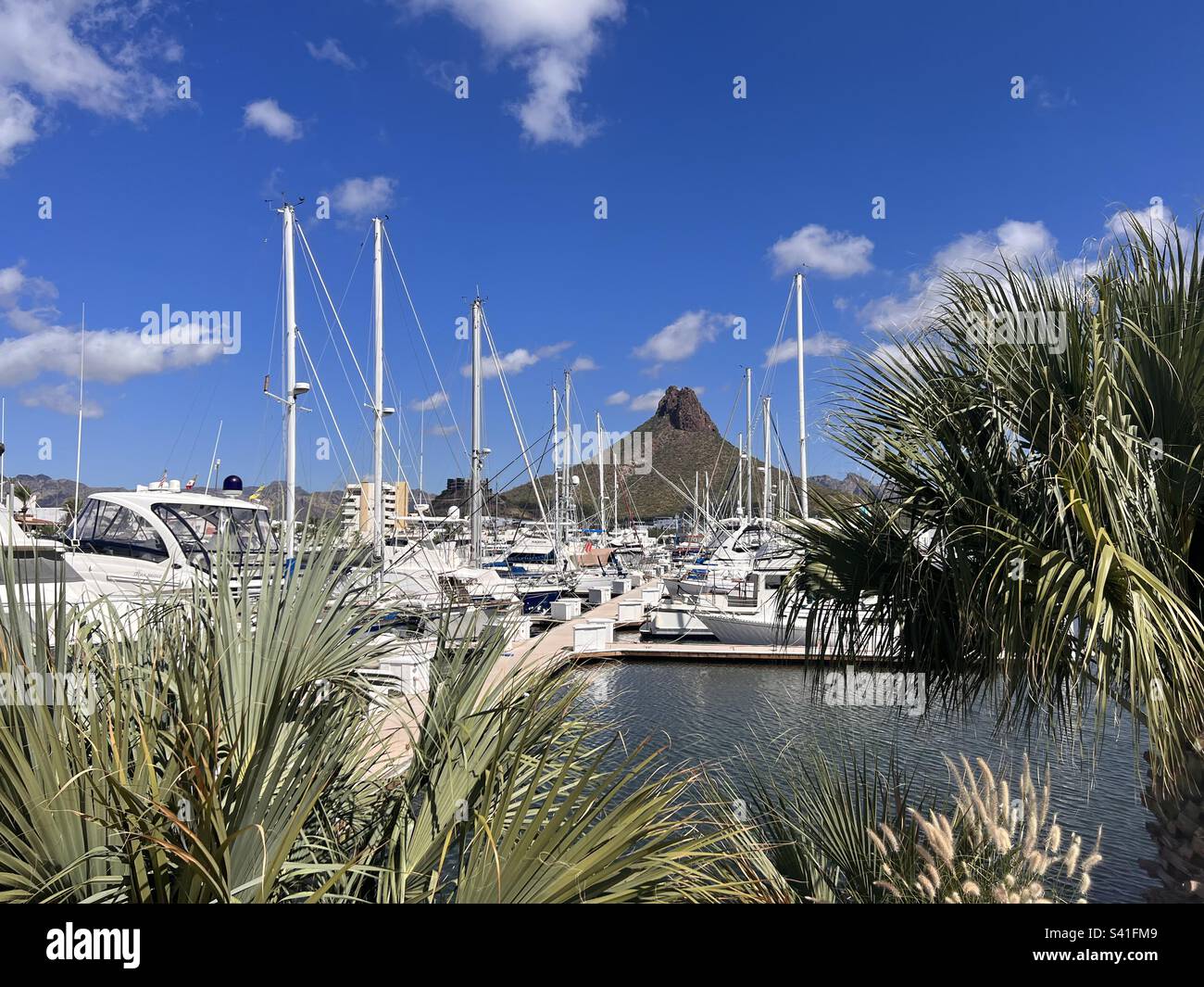 Marina real hi-res stock photography and images - Alamy