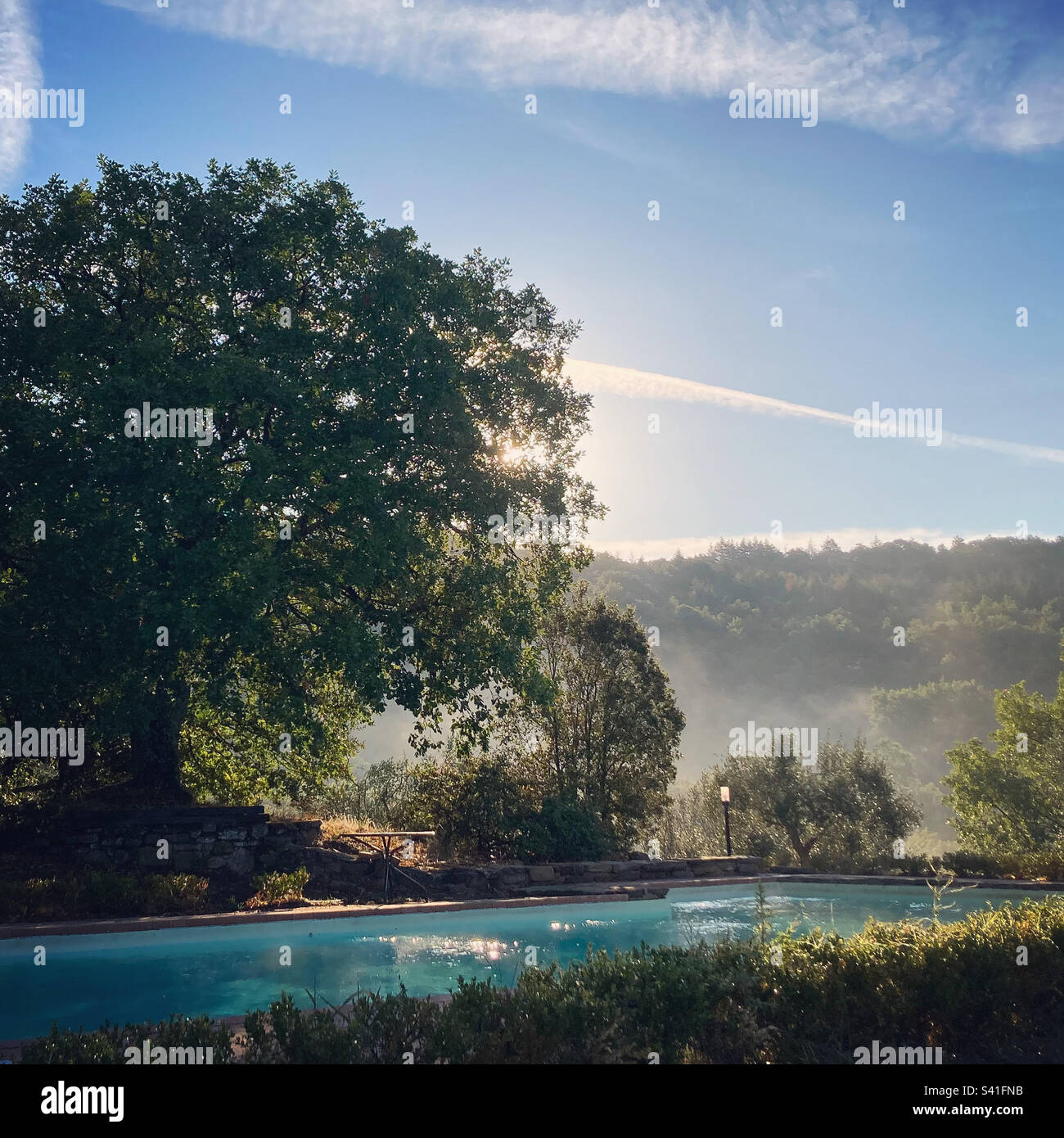 Pool in the woods hi-res stock photography and images - Alamy