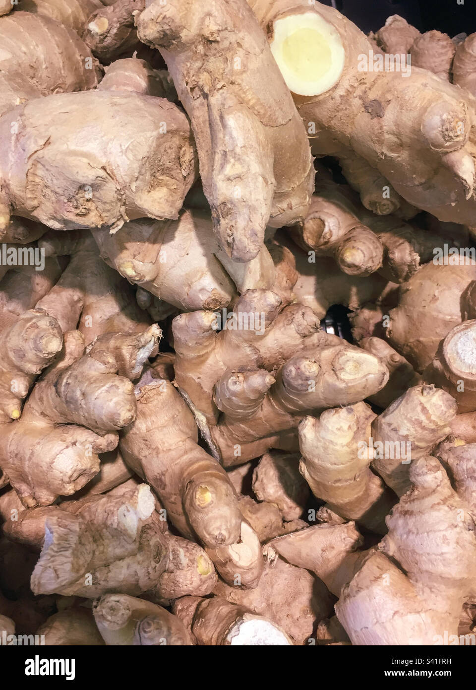 Ginger harvest hi-res stock photography and images - Alamy