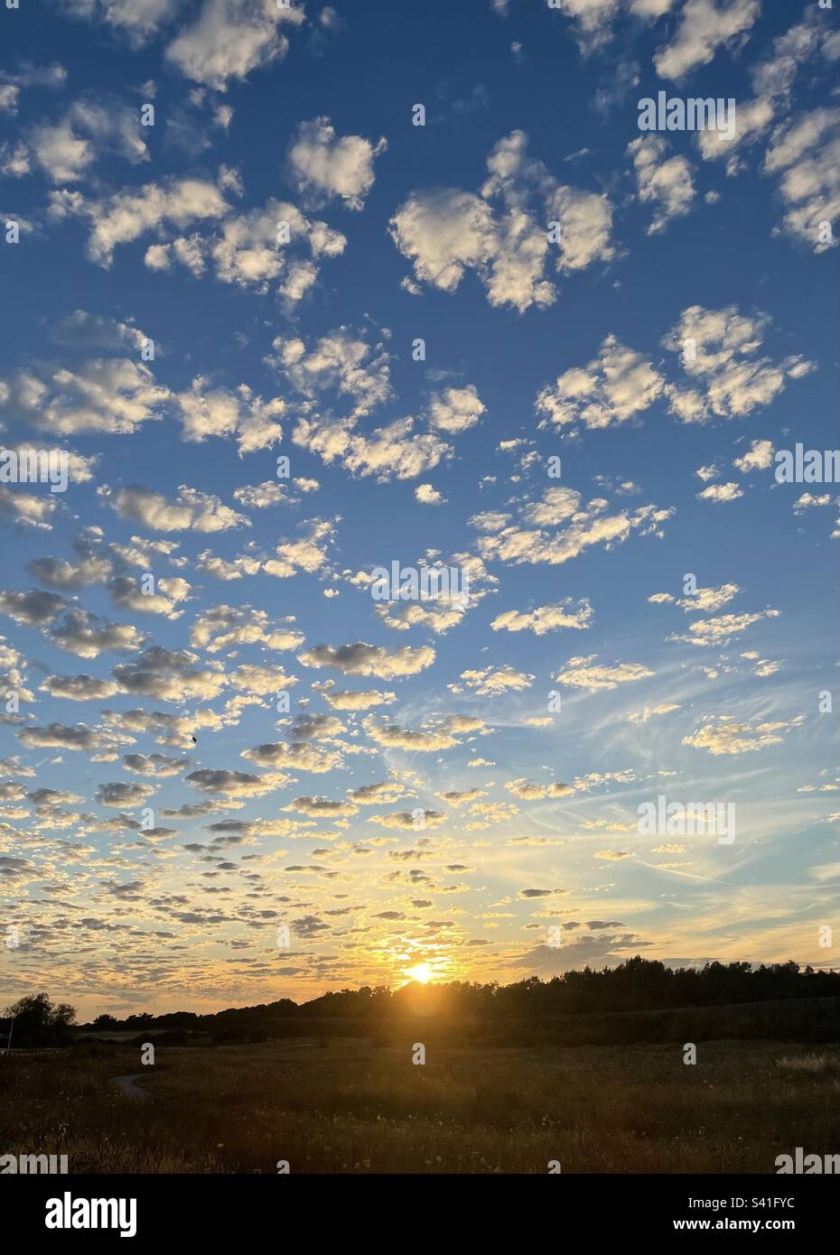 Altocumulus