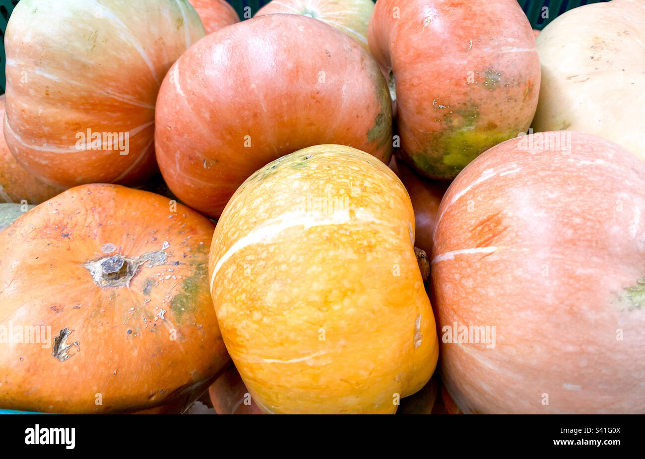 Squash on sale in a supermarket Stock Photo - Alamy