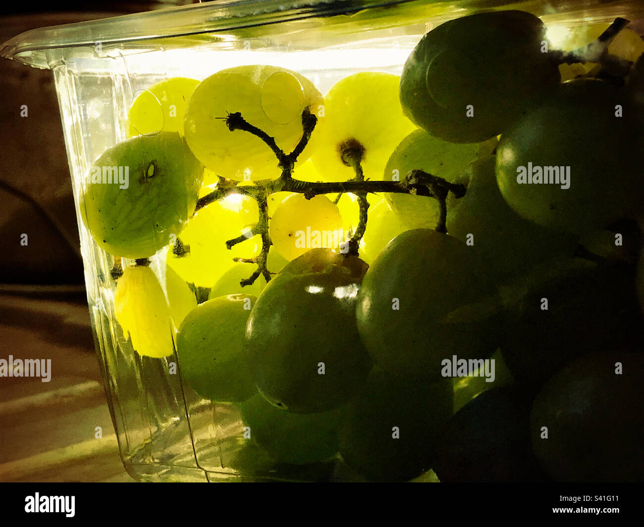 Backlit imported grapes in plastic packaging Stock Photo - Alamy