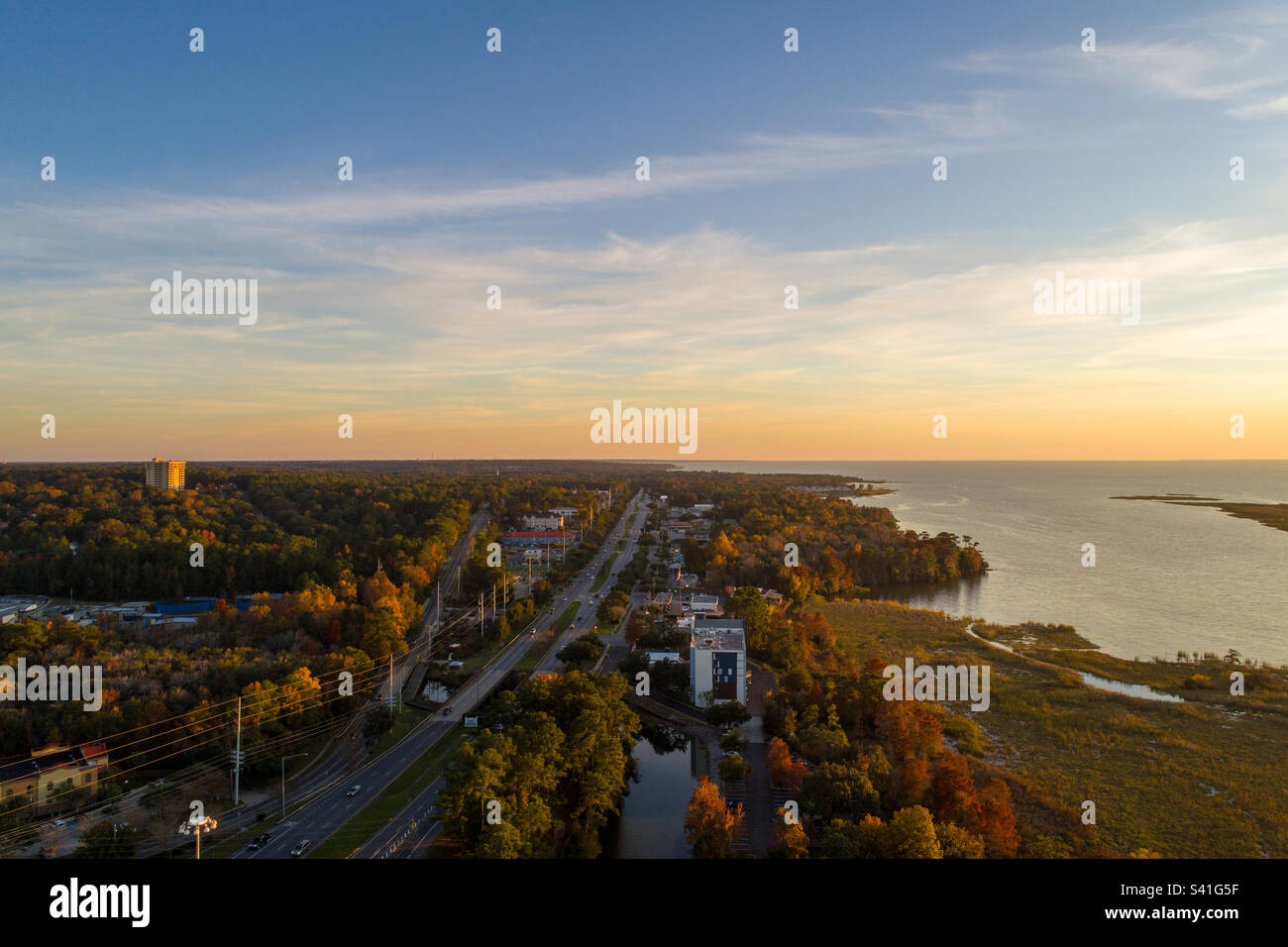 Alabama wetlands hi-res stock photography and images - Alamy
