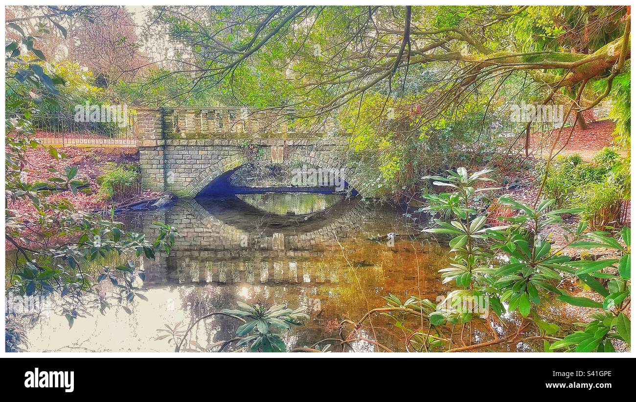 Bridge in Peckham rye park Stock Photo - Alamy