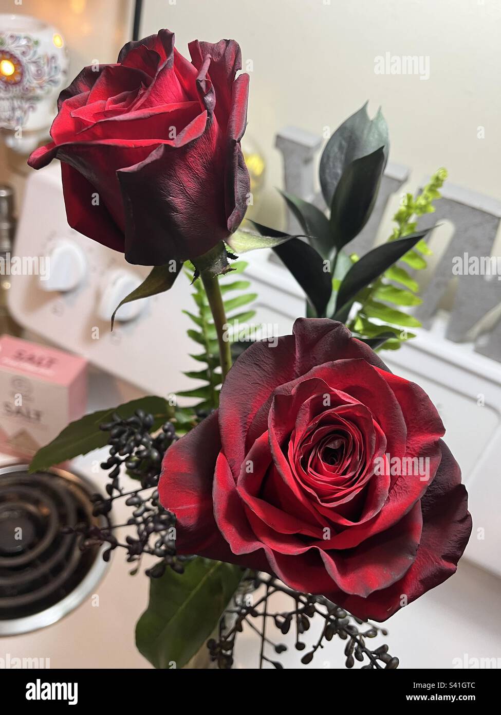 Black tinted roses Stock Photo - Alamy