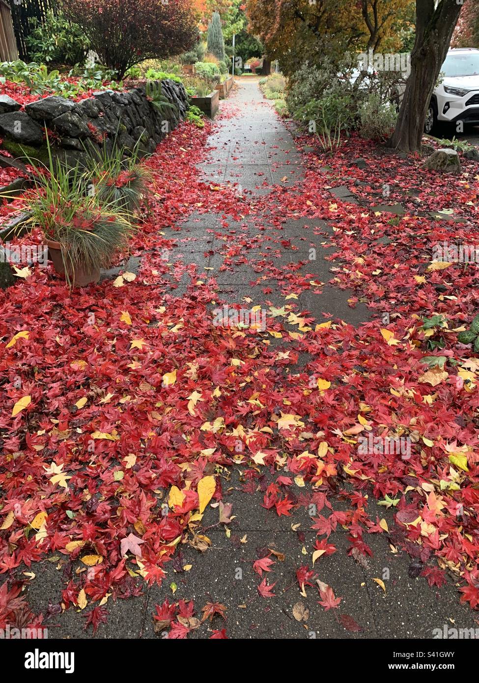 Rainy day solitude hi-res stock photography and images - Alamy