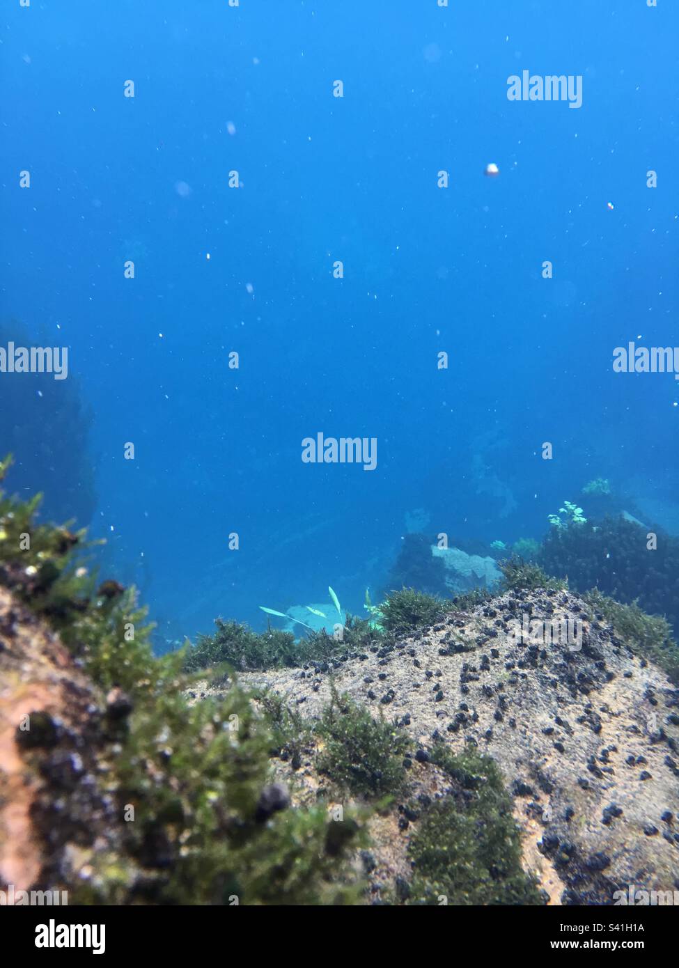 Underwater spring hi-res stock photography and images - Alamy