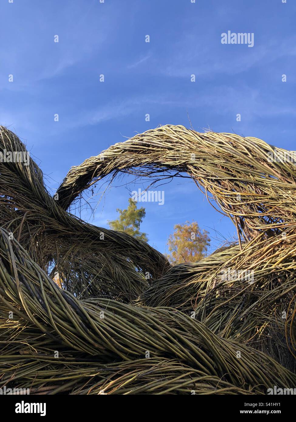 Twisted colors hi-res stock photography and images - Alamy