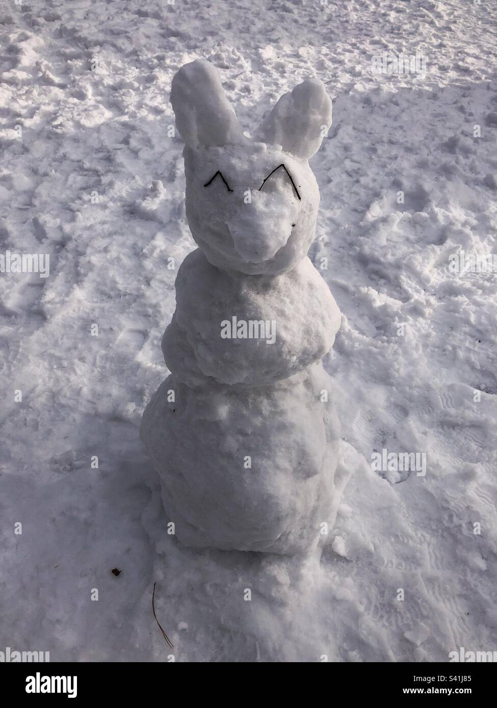 Snow bunny hi-res stock photography and images - Alamy