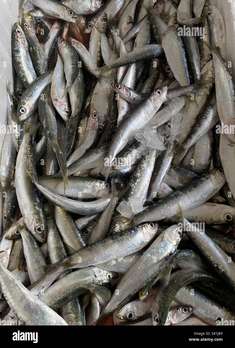 Netherlands leiden market hi-res stock photography and images - Alamy