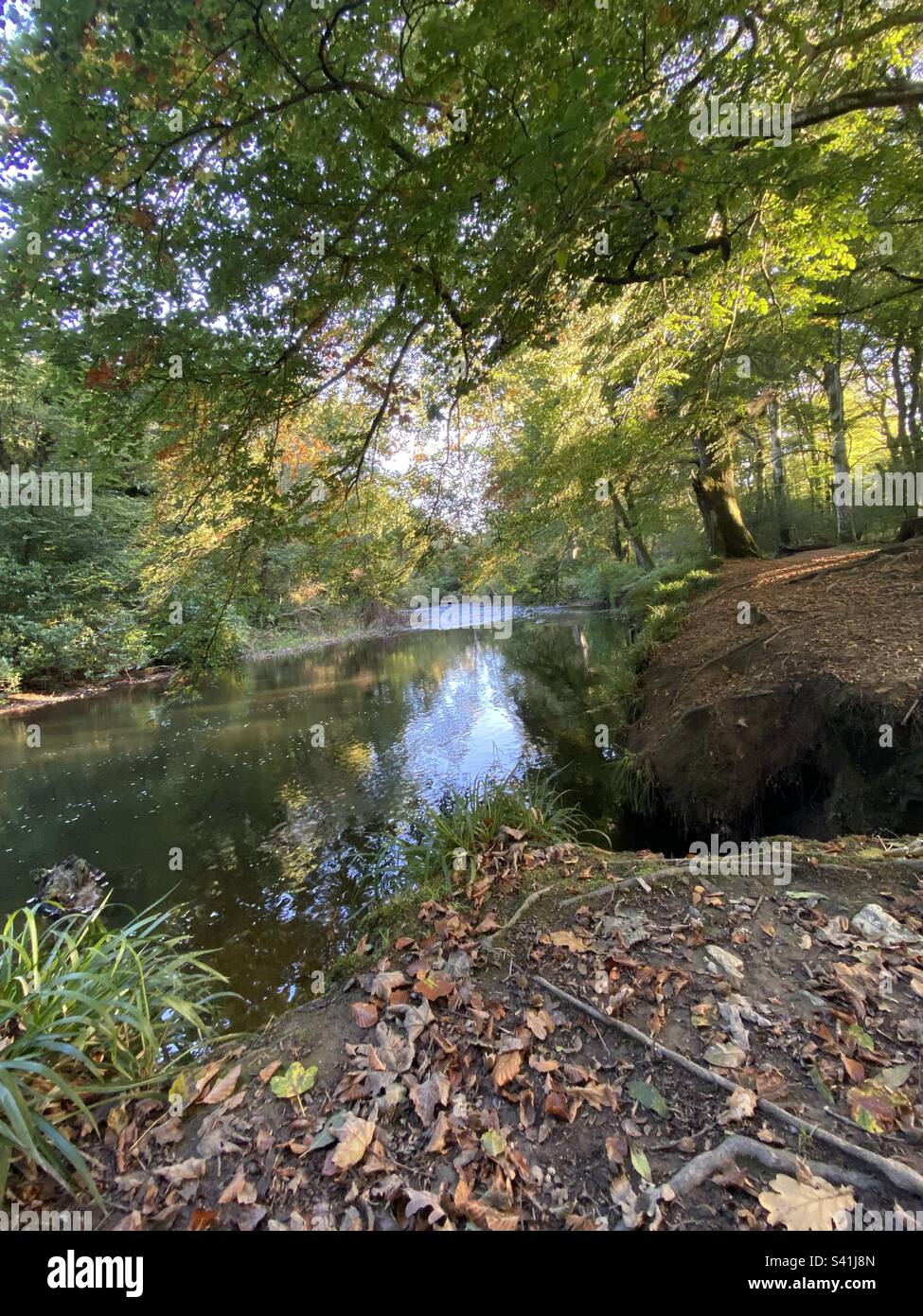 Calm peaceful scene hi-res stock photography and images - Alamy