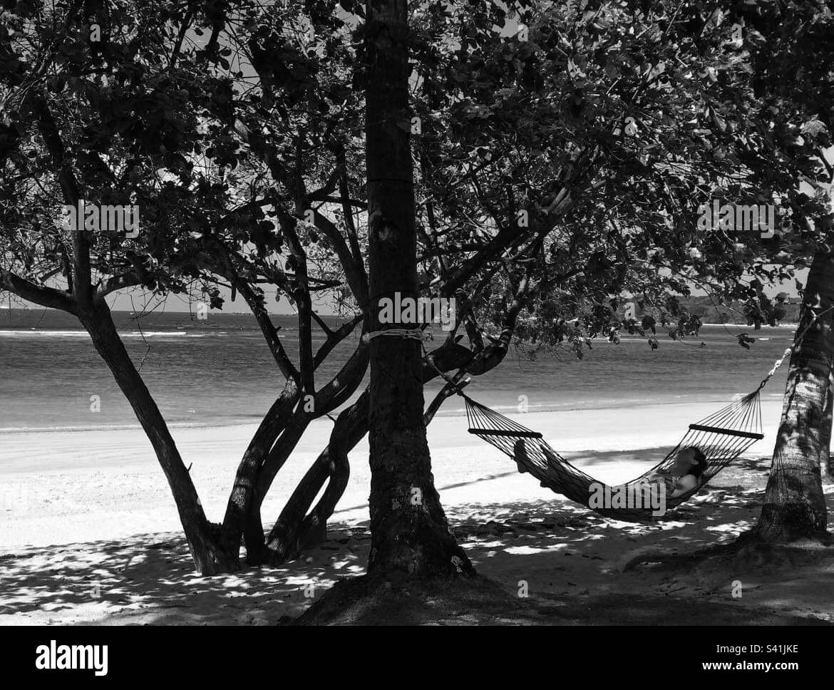 Hanging between trees Black and White Stock Photos & Images - Alamy