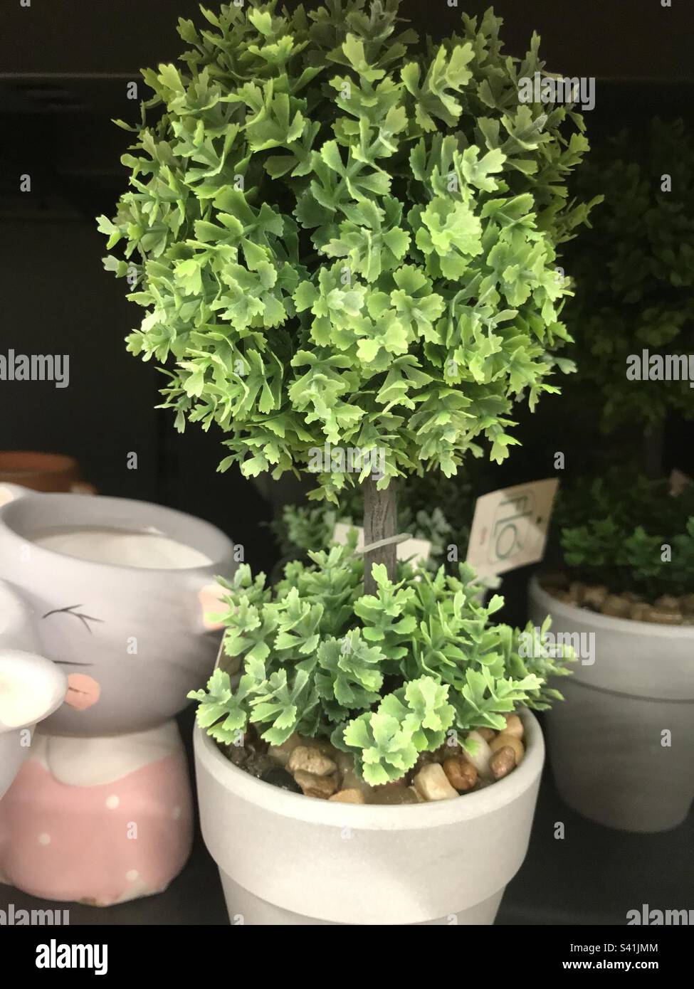 Miniature tree hi-res stock photography and images - Alamy