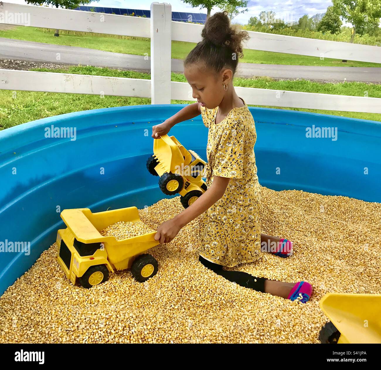 Little girl in corn pit Stock Photo - Alamy