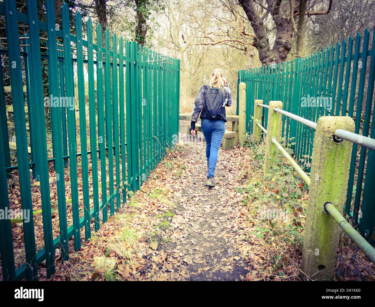 A woman walks by railings in the countryside in the UK Stock Photo - Alamy