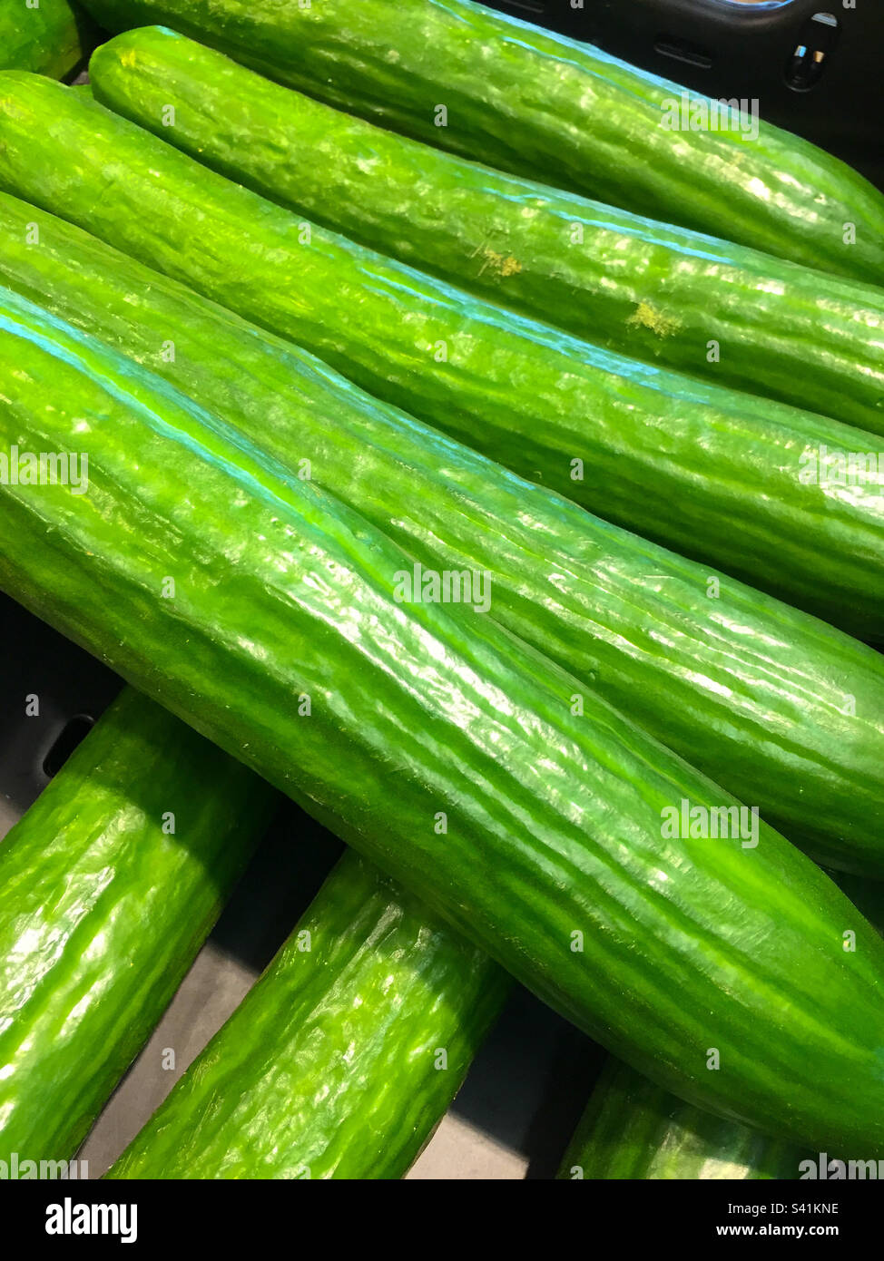Fresh green cucumbers on farmer’s market Stock Photo - Alamy