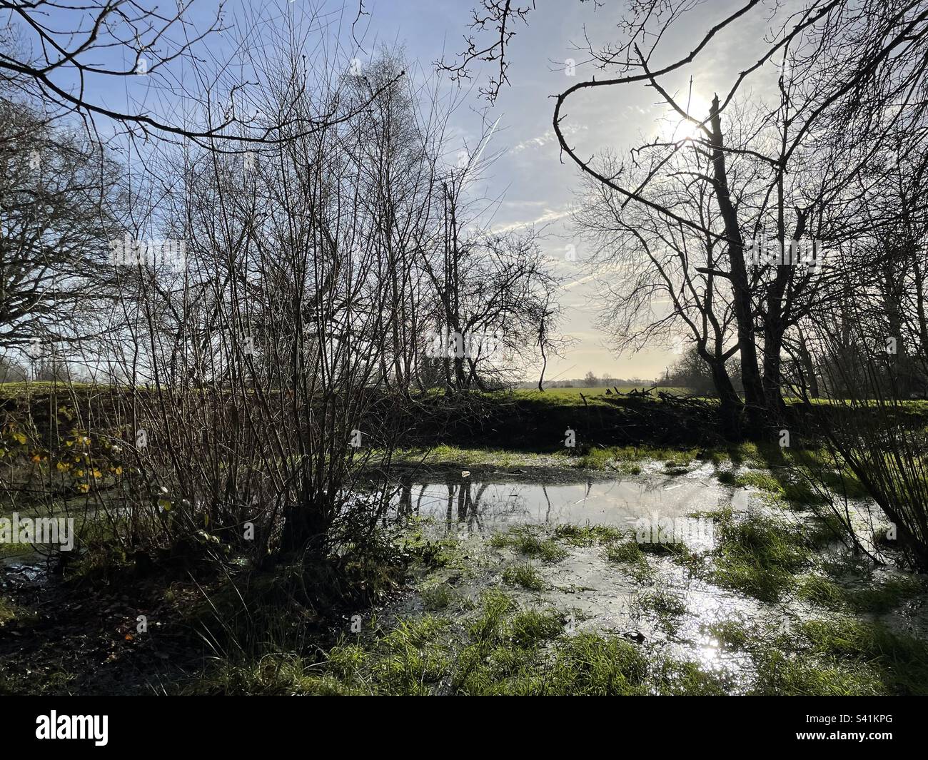 Greys court hi-res stock photography and images - Alamy