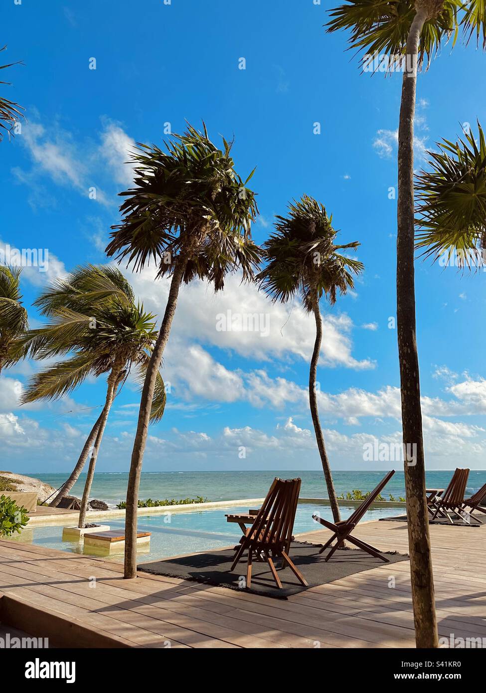 Palm trees, pool and chairs in Tulum Beach, Tulum, Mexico Stock Photo ...