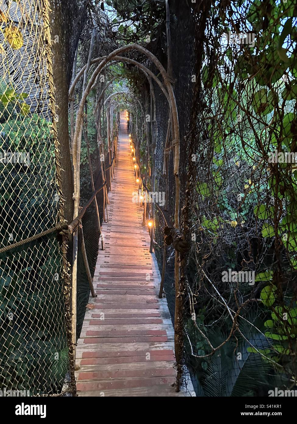 A road in the jungle in Tulum, Mexico Stock Photo - Alamy